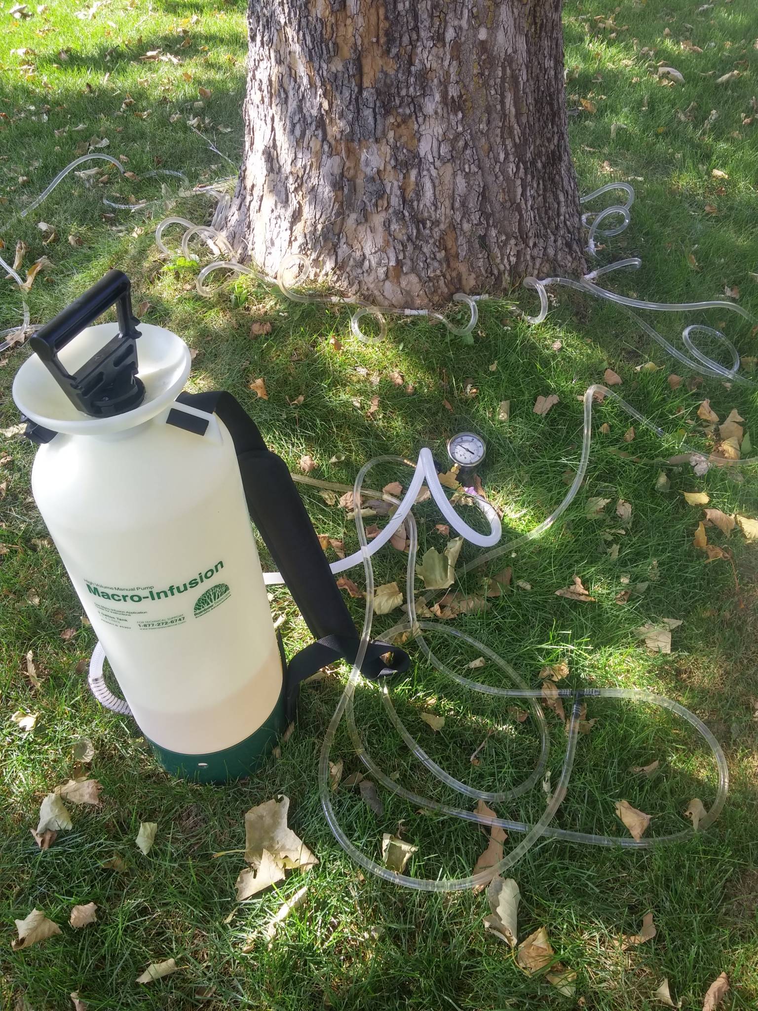 Trunk Injections & Bark Banding – Arborcare Arborscape